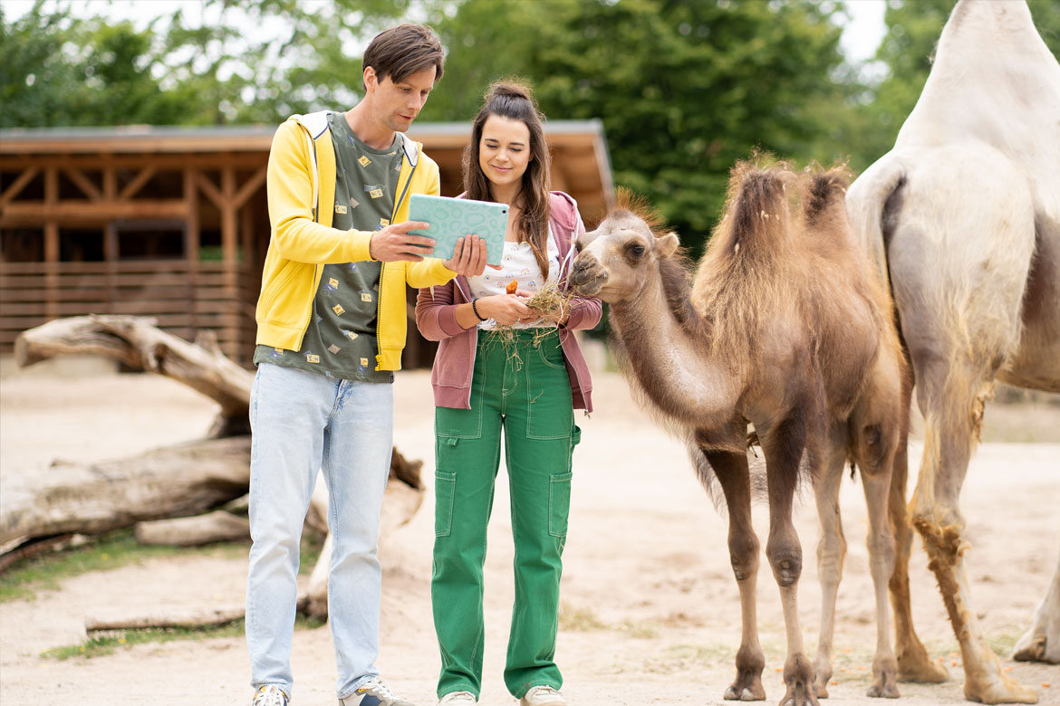 Am 29. Oktober startet die 4. Staffel der beliebten Rätselshow ...