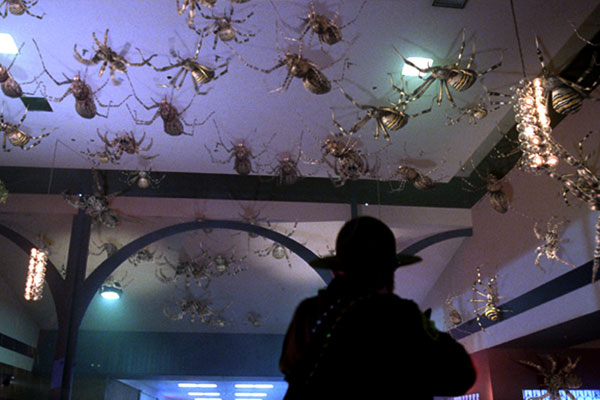 “Arac Attack - Angriff der achtbeinigen Monster” – der Spinnen-Horror ...