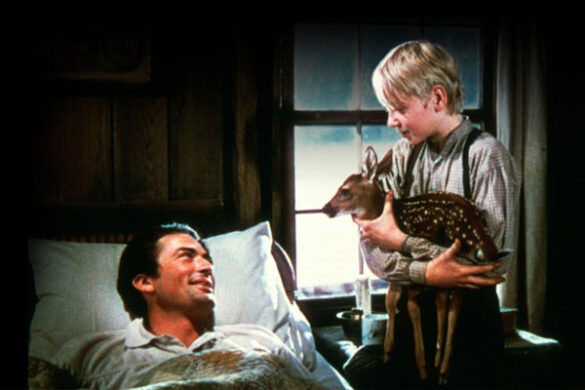 “Ein Mädchen namens Willow” – ein nett gemachter, aber wenig ...